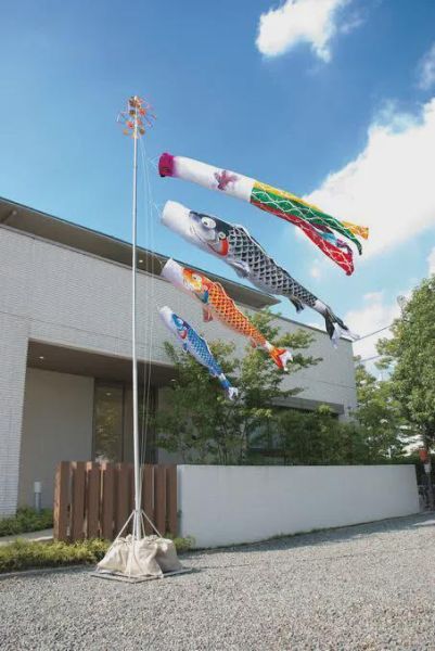 鲤鱼旗是中国的吗_起源与中日文化差异-第1张图片-山城妙识