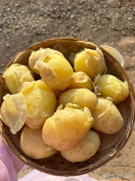 吃土豆两个月减肥40斤真的吗_土豆减肥食谱怎么安排-第2张图片-山城妙识