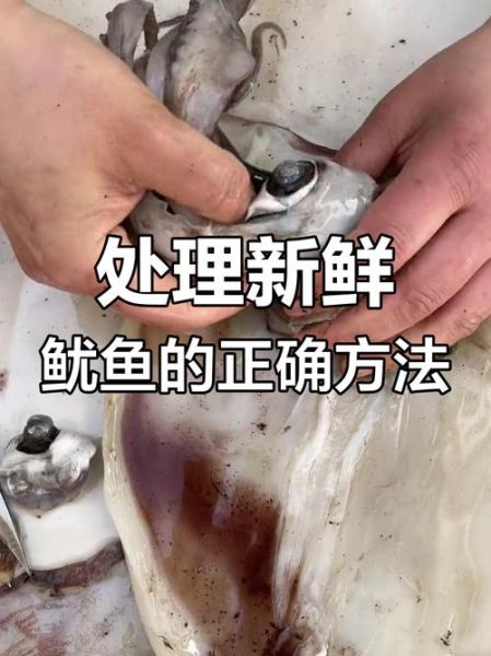 鱿鱼怎么处理图解_鱿鱼怎么清洗图解-第3张图片-山城妙识