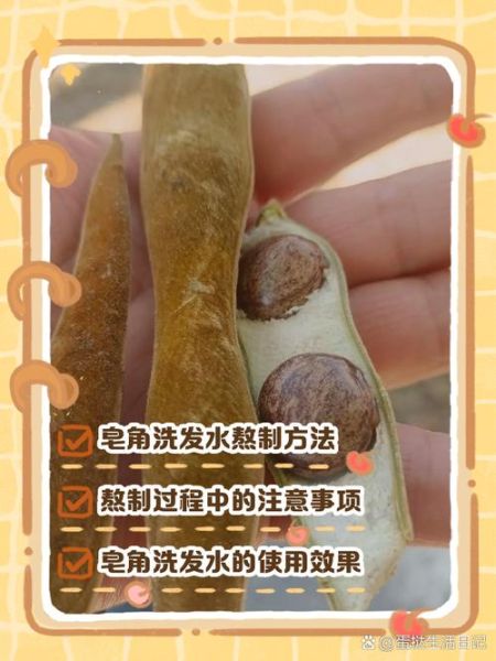 皂角洗发水怎么熬制_皂角洗发水配方比例-第1张图片-山城妙识