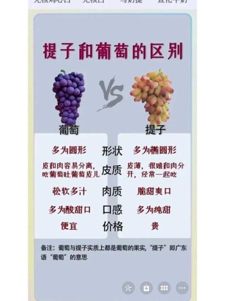 红提和葡萄的区别_哪个更甜-第1张图片-山城妙识