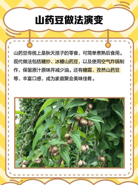 山药豆蒸多久可以吃_蒸山药豆最佳时间-第3张图片-山城妙识