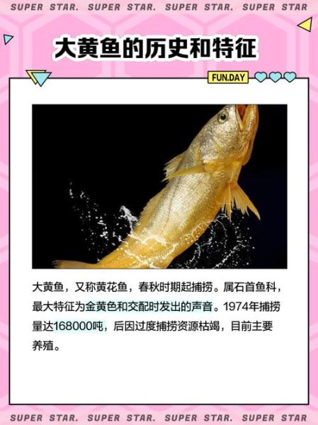 黄箭鱼多少钱一斤_黄箭鱼价格为什么波动大-第3张图片-山城妙识