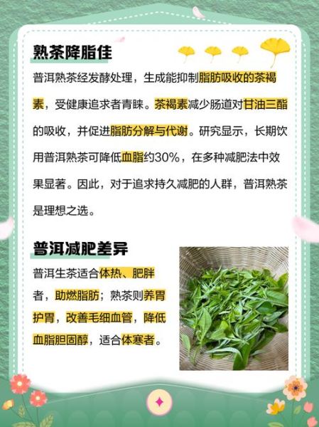 长期喝普洱茶的好处和坏处_普洱茶能减肥吗-第3张图片-山城妙识