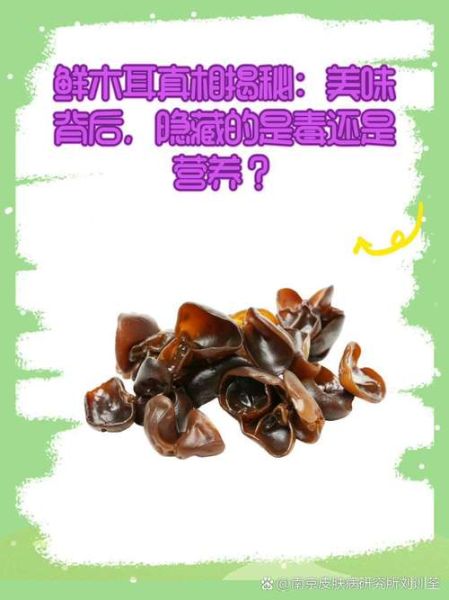 木耳不能和什么一起吃_鲜木耳能吃吗-第2张图片-山城妙识