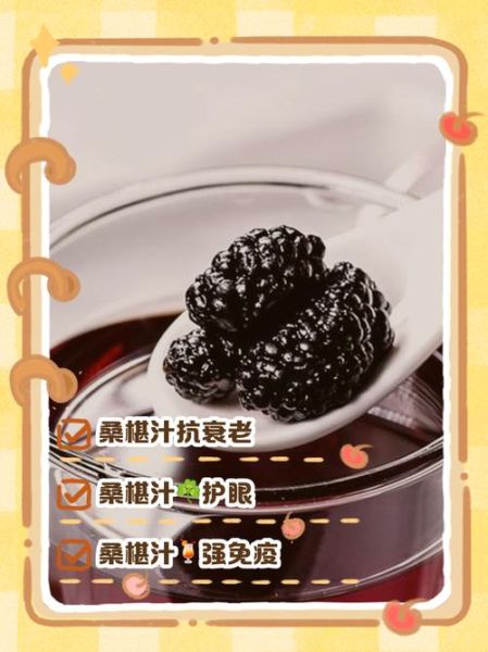 桑椹汁的功效与作用_长期喝桑椹汁有什么好处-第1张图片-山城妙识 桑椹汁的功效与作用_长期喝桑椹汁有什么好处-第1张图片-山城妙识