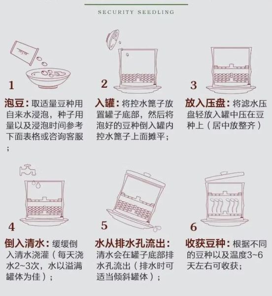 自制豆芽菜最简单的方法_家庭无土栽培豆芽步骤-第3张图片-山城妙识 自制豆芽菜最简单的方法_家庭无土栽培豆芽步骤-第3张图片-山城妙识