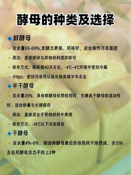 酵母发酵原理_如何控制发酵时间-第3张图片-山城妙识