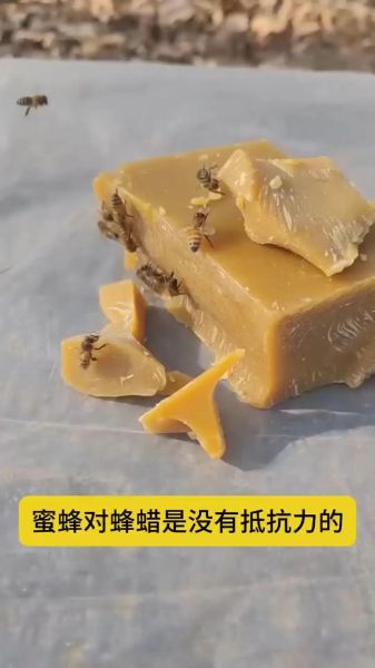 蜂蜡怎么用_蜂蜡的用途有哪些-第3张图片-山城妙识