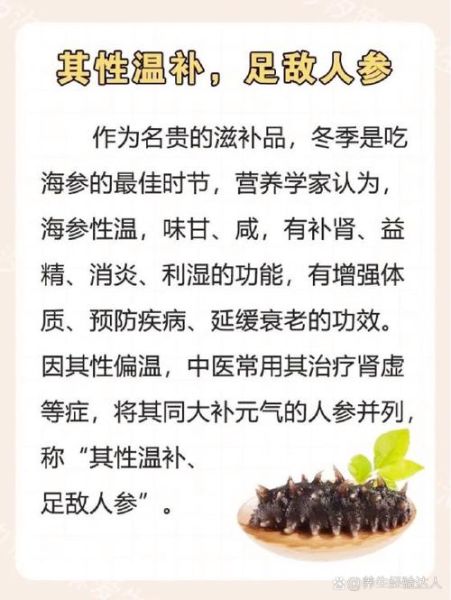 海参的功效与作用有哪些_海参营养价值高吗-第1张图片-山城妙识