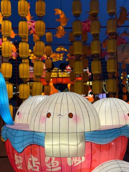 元宵灯会哪里最热闹_元宵灯会几点开始-第3张图片-山城妙识