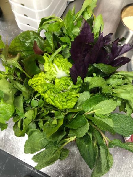 豆瓣菜是西洋菜吗_区别与真相-第2张图片-山城妙识 豆瓣菜是西洋菜吗_区别与真相-第2张图片-山城妙识