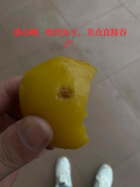 黄桃罐头变质图片_如何判断还能不能吃-第1张图片-山城妙识