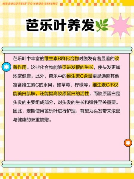 芭乐叶的功效与作用_芭乐叶泡水喝的禁忌-第2张图片-山城妙识