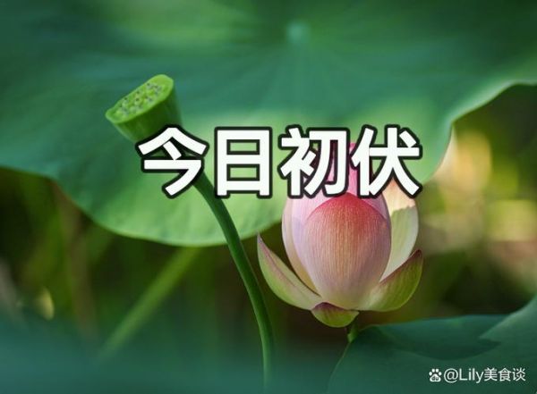 头伏是什么意思_头伏从哪天开始算-第3张图片-山城妙识 头伏是什么意思_头伏从哪天开始算-第3张图片-山城妙识