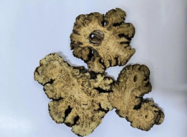 芎怎么读_芎的拼音和含义是什么-第1张图片-山城妙识 芎怎么读_芎的拼音和含义是什么-第1张图片-山城妙识