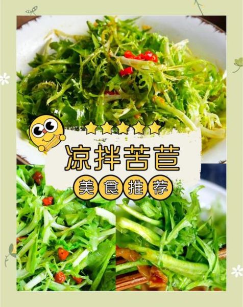 苦菊凉拌菜怎么做_苦菊凉拌菜要不要焯水-第1张图片-山城妙识 苦菊凉拌菜怎么做_苦菊凉拌菜要不要焯水-第1张图片-山城妙识