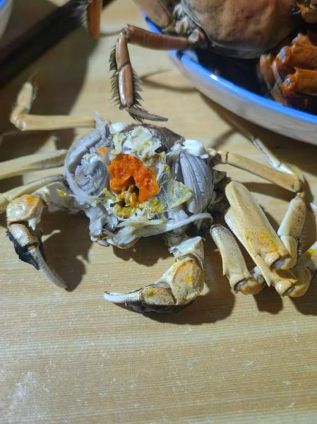 野生河蟹怎么处理干净_野生河蟹清洗步骤-第1张图片-山城妙识