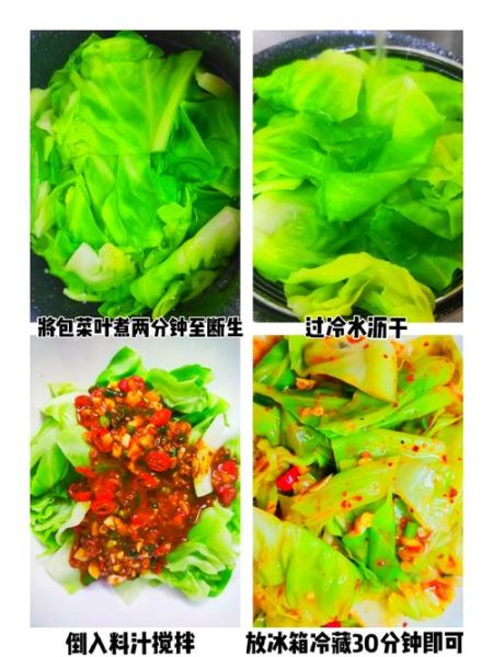 蚝油包菜怎么做_蚝油包菜怎么炒才脆-第3张图片-山城妙识