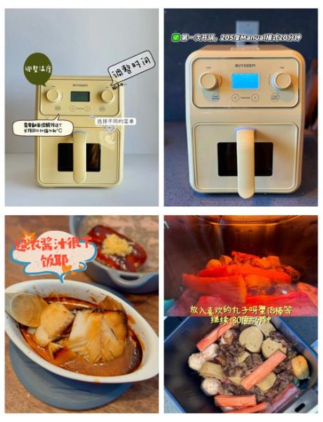 美国空气炸锅禁止使用_原因是什么-第3张图片-山城妙识