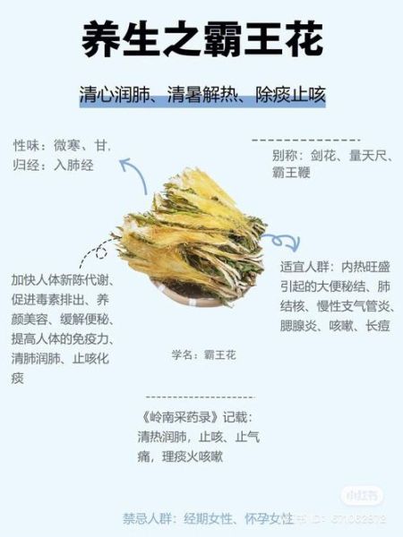 霸王花煲汤的做法大全_霸王花煲汤有什么功效-第1张图片-山城妙识