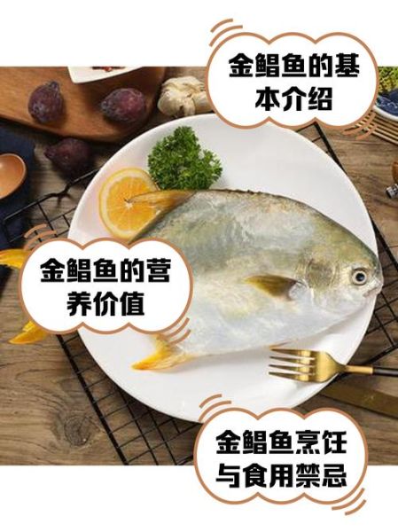 金鲳鱼多少钱一斤2021_2021金鲳鱼价格走势-第1张图片-山城妙识 金鲳鱼多少钱一斤2021_2021金鲳鱼价格走势-第1张图片-山城妙识
