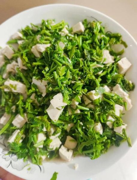 香椿豆腐凉拌怎么做_香椿豆腐凉拌要不要焯水-第1张图片-山城妙识