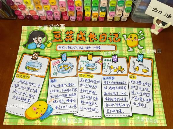 豆芽怎么种_豆芽生长过程观察日记手抄报-第3张图片-山城妙识
