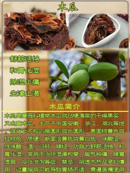 野木瓜怎么吃最好_野木瓜的吃法大全-第3张图片-山城妙识