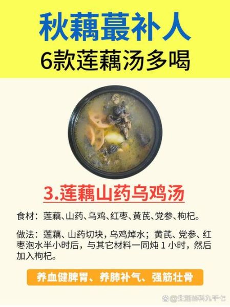 莲藕的功效与作用_莲藕怎么吃最养生-第2张图片-山城妙识