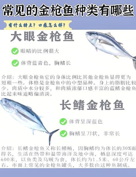 长鳍金枪鱼多少钱一斤_长鳍金枪鱼和黄鳍区别-第2张图片-山城妙识