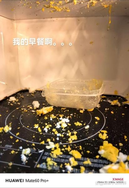 微波炉煮饭要多久_微波炉煮饭会爆炸吗-第1张图片-山城妙识 微波炉煮饭要多久_微波炉煮饭会爆炸吗-第1张图片-山城妙识