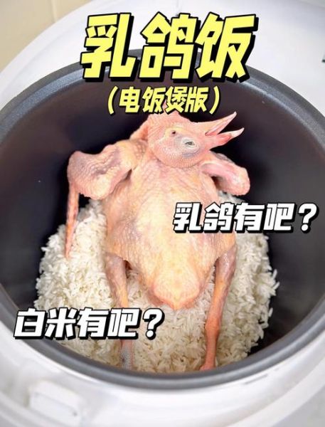 电饭煲乳鸽怎么做_电饭煲乳鸽的做法大全-第2张图片-山城妙识 电饭煲乳鸽怎么做_电饭煲乳鸽的做法大全-第2张图片-山城妙识