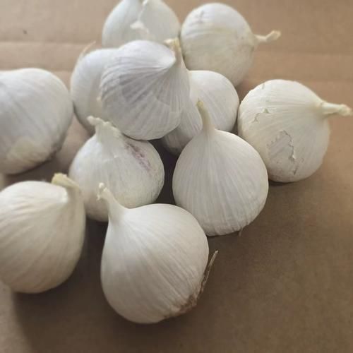 苍山大蒜最新价格_多少钱一斤-第1张图片-山城妙识 苍山大蒜最新价格_多少钱一斤-第1张图片-山城妙识