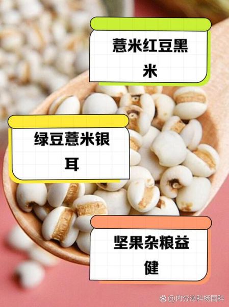 薏米和什么一起煮粥最好_薏米粥最佳搭配-第2张图片-山城妙识