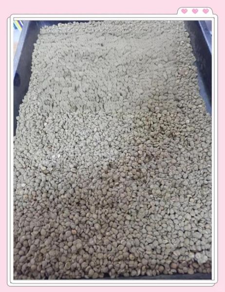 豆瓣酱怎么做最正宗_家庭自制豆瓣酱详细步骤-第3张图片-山城妙识 豆瓣酱怎么做最正宗_家庭自制豆瓣酱详细步骤-第3张图片-山城妙识