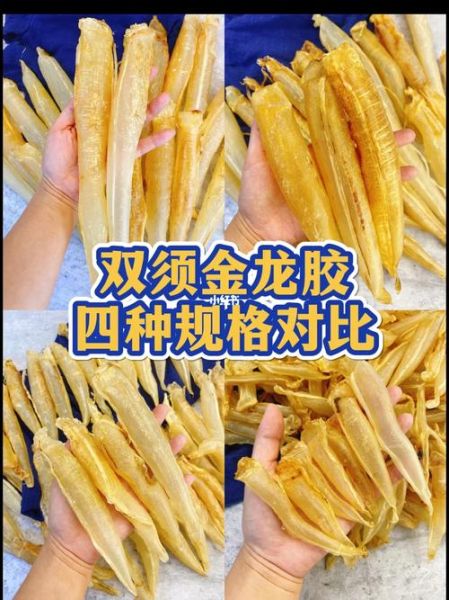 金龙鱼胶的功效与作用_金龙鱼胶适合什么人吃-第3张图片-山城妙识 金龙鱼胶的功效与作用_金龙鱼胶适合什么人吃-第3张图片-山城妙识