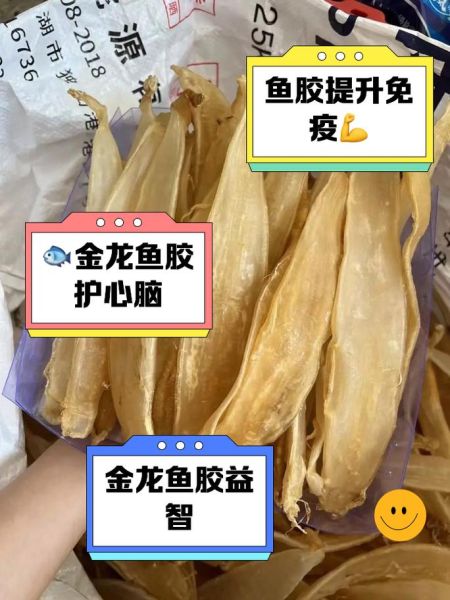 金龙鱼胶的功效与作用_金龙鱼胶适合什么人吃-第1张图片-山城妙识 金龙鱼胶的功效与作用_金龙鱼胶适合什么人吃-第1张图片-山城妙识