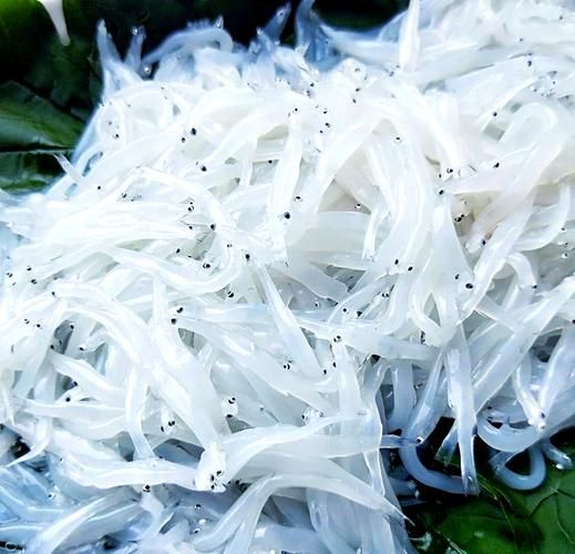 银鱼蒸蛋怎么蒸才嫩滑_银鱼蒸蛋的做法窍门-第3张图片-山城妙识