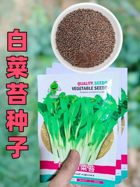蔬菜种子怎么选_蔬菜种子批发哪里便宜-第3张图片-山城妙识