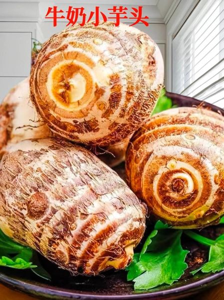 芋头种类图片及名称_常见芋头品种有哪些-第3张图片-山城妙识