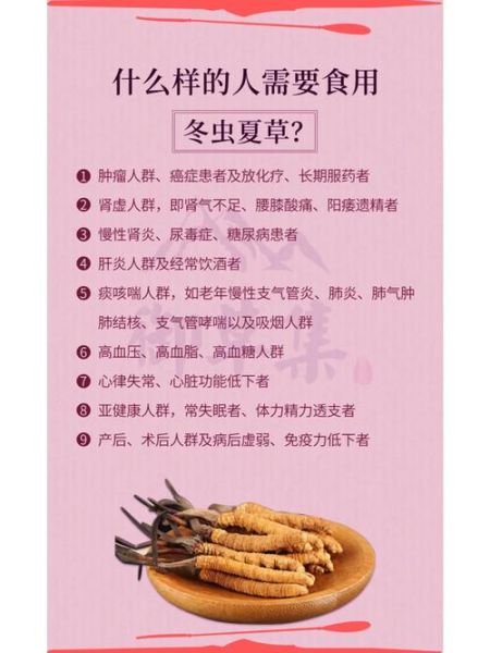 虫草怎么吃效果最好_虫草有哪些功效与作用-第3张图片-山城妙识