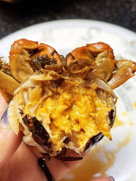 六月黄大闸蟹几月满黄_六月黄什么时候最肥-第1张图片-山城妙识