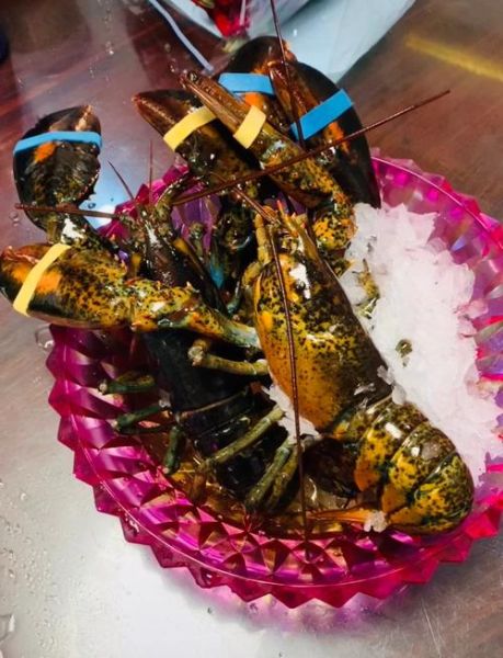 蒜蓉波士顿龙虾清蒸几分钟_蒜蓉清蒸龙虾时间-第3张图片-山城妙识 蒜蓉波士顿龙虾清蒸几分钟_蒜蓉清蒸龙虾时间-第3张图片-山城妙识