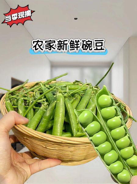 碗豆子有什么营养_碗豆子热量高吗-第2张图片-山城妙识