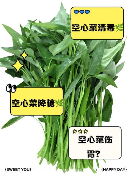 空心菜吃多了有什么坏处_空心菜草酸含量高吗-第1张图片-山城妙识 空心菜吃多了有什么坏处_空心菜草酸含量高吗-第1张图片-山城妙识