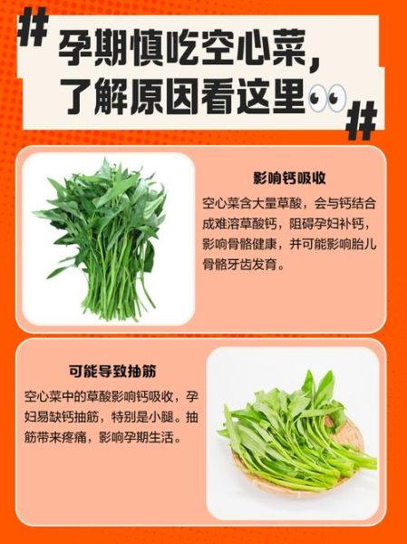 空心菜吃多了有什么坏处_空心菜草酸含量高吗-第3张图片-山城妙识 空心菜吃多了有什么坏处_空心菜草酸含量高吗-第3张图片-山城妙识