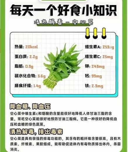 空心菜吃多了有什么坏处_空心菜草酸含量高吗-第2张图片-山城妙识 空心菜吃多了有什么坏处_空心菜草酸含量高吗-第2张图片-山城妙识