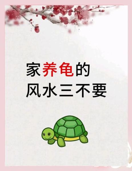 为什么不能养三只乌龟_三只乌龟风水禁忌-第1张图片-山城妙识 为什么不能养三只乌龟_三只乌龟风水禁忌-第1张图片-山城妙识