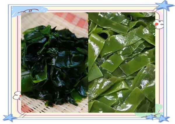裙带菜图片大全_裙带菜和海带有什么区别-第1张图片-山城妙识